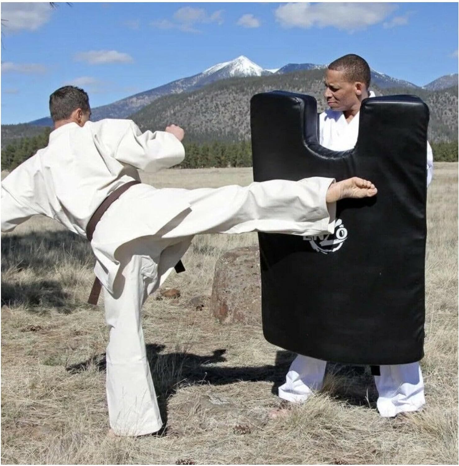 Full Body Shield Leather Black For MMA