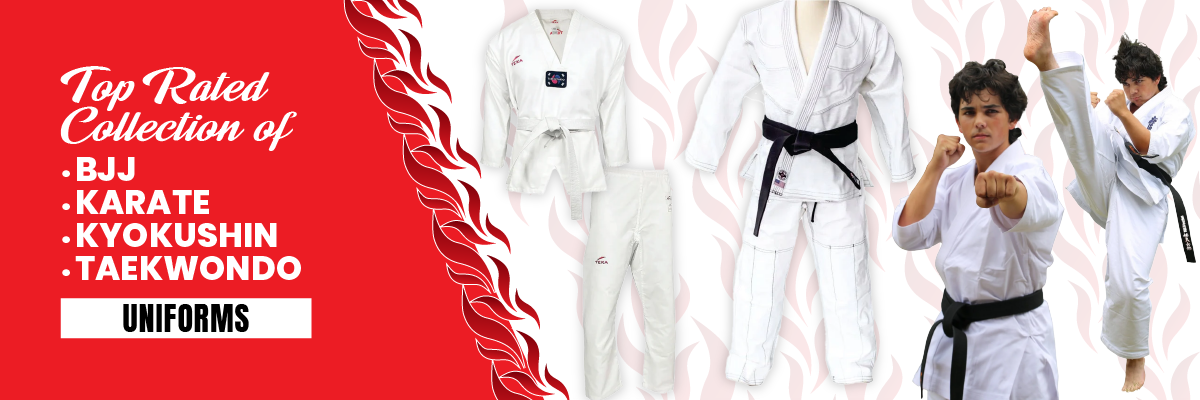 Victor Budo USA Martial Arts Gear & Fitness Gear Since 2001